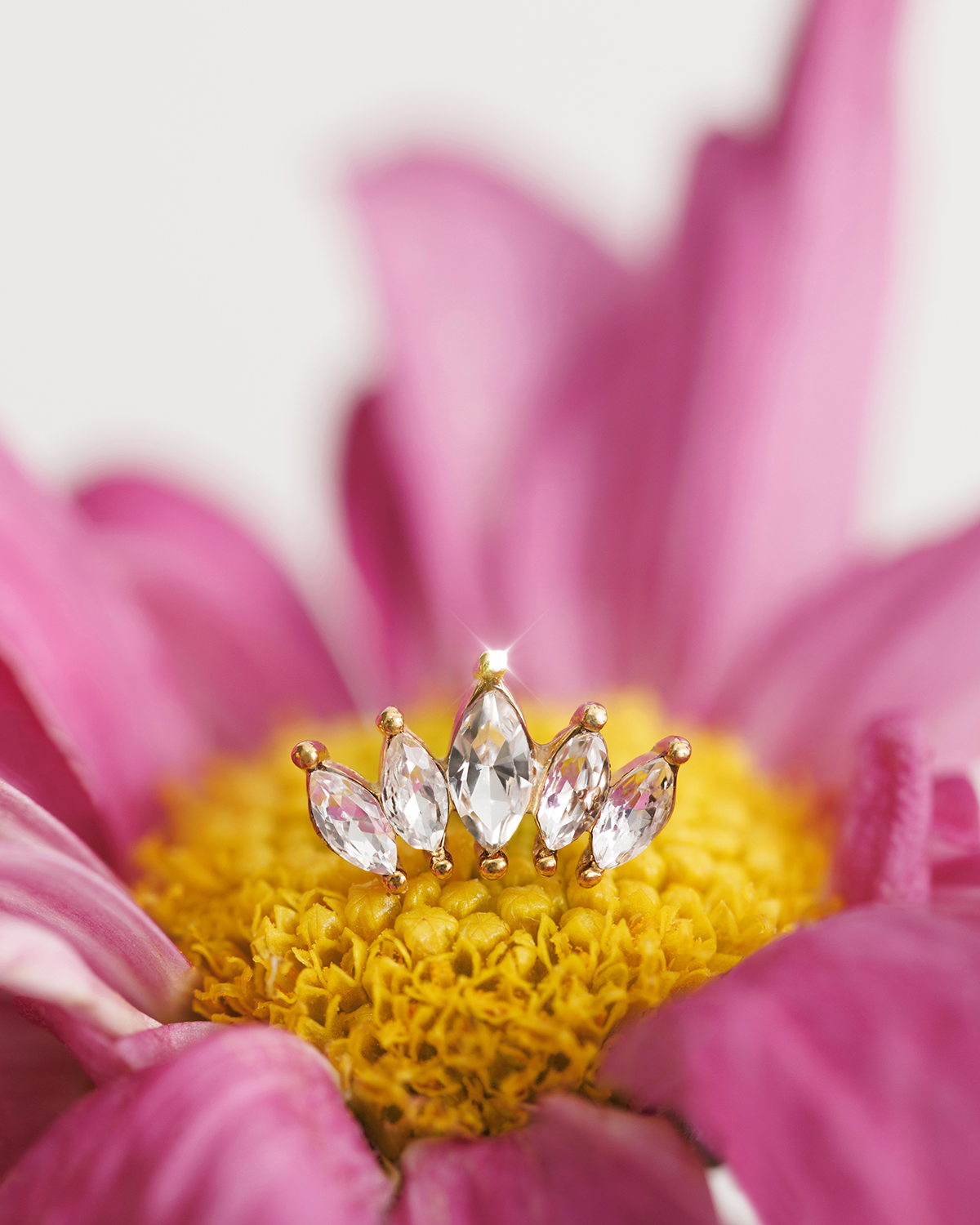 In the Grove – océane folk